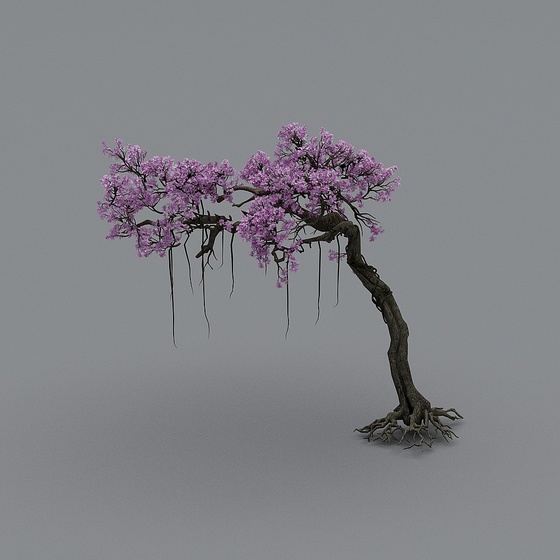 Modern Garden Cherry Blossom Tree 3D Model in Gray